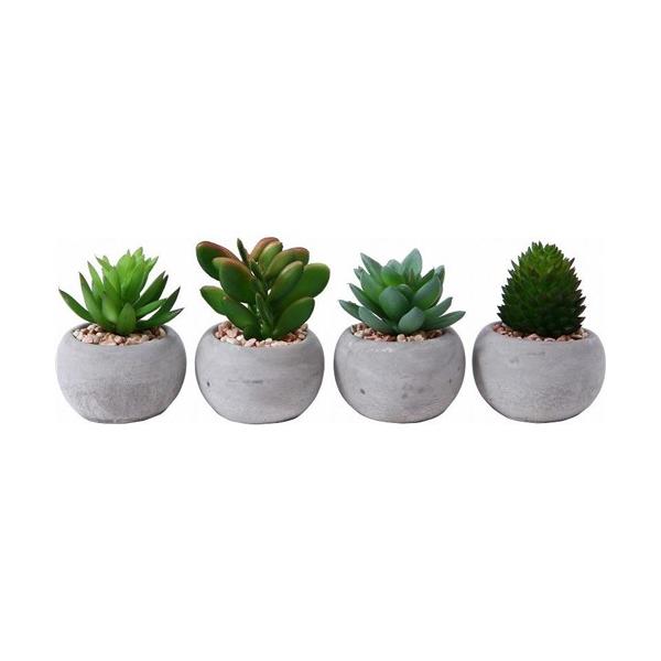 【在庫限り】不二貿易 人工多肉植物陶器ポット ４種アソート 446