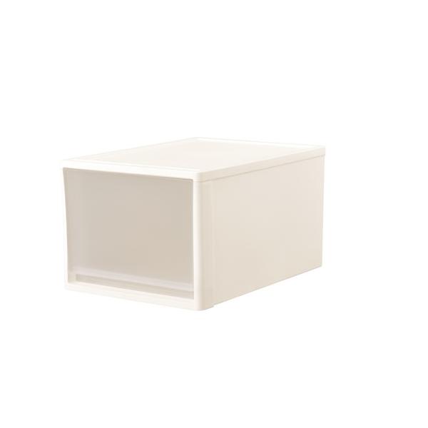 [幅39×奥行53×高さ30cm] 収納ケース プラスチック クローゼット用 ストラ53L ホワイト 446