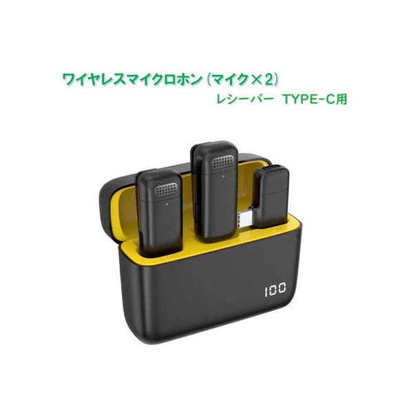ROYALMONSTER RM ワイヤレスマイクロホン・TYPE-C(マイク×2) RM-2908MIC2-C    131