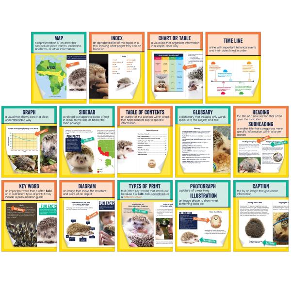 ・Educational Wall D〓cor: Reinforce important language arts concepts for future school success with Carson Dellosa Nonfic...
