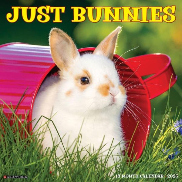 ・BUNNY BLISS - Experience a year of "bunny hood" with bright and detailed photographs celebrating the world of these cut...