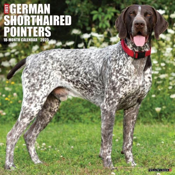 ・POINTED PERFECTION - Experience a year with German Shorthaired pointers, athletic, and hardworking dogs known for their...