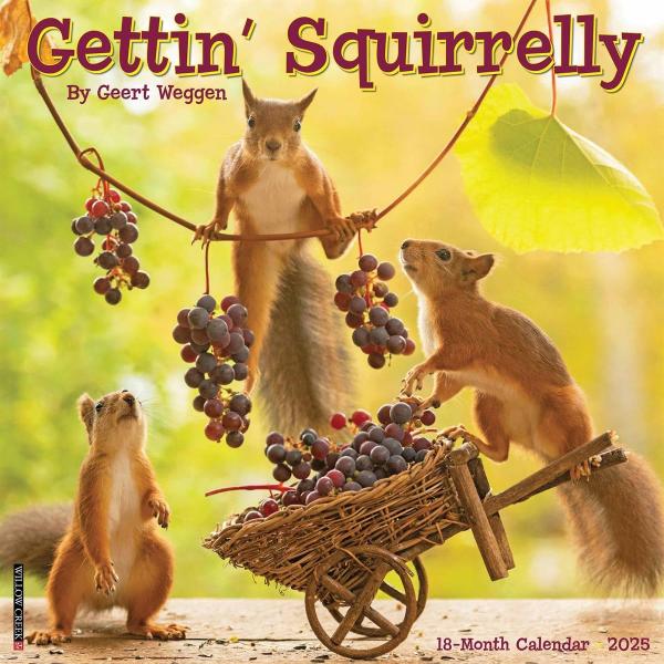 ・NUTTY NARRATIVES - Smile your way through the year with Geert Weggen's delightful squirrel photographs, set amidst quir...