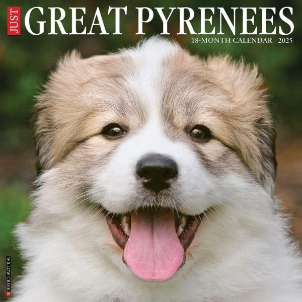 ・NOBLE GUARDIANS - The Great Pyrenees, tracing back to medieval times, is revered for its loyalty, courage, and magnific...