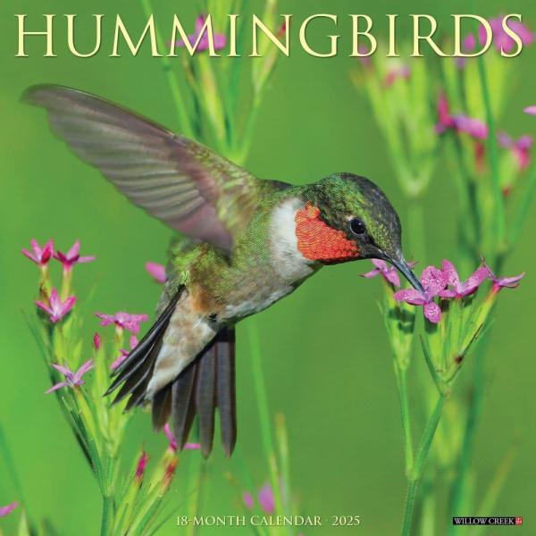 ・HUMMINGBIRD HUES - Slow down and appreciate the intricate flitting wonders and the astounding beauty of North American ...
