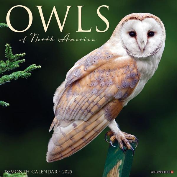 ・WINGED WONDERS - Get captivated by the mesmerizing allure of owls, each month echoing their timeless appeal.・PLAN IN ST...
