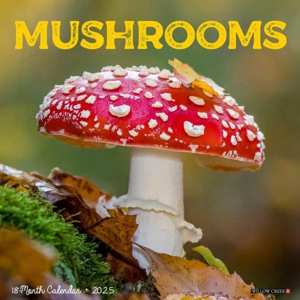・FUNGAL FASCINATION - Explore the world of mushrooms, from vibrant Amanitas to delicate morels.・PLAN IN STYLE - Stay org...
