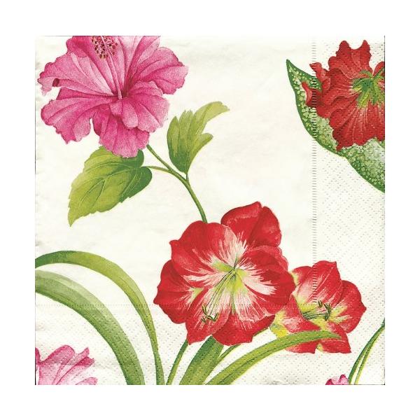 ・20 6-1/2-inch square napkins per package・Great for easy entertaining・Made of triple-ply paper using non-toxic, water so...