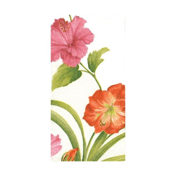 ・Includes 2 sets of 6-1/2 by 16-inch guest towels; 15 towels per package・Great for easy entertaining・Made of triple-ply ...