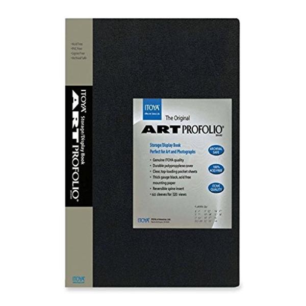 ・24 sleeves for 48 views・Acid-free and archival safe・Clear top-loading polypropylene pocket pages with reversible spine ...