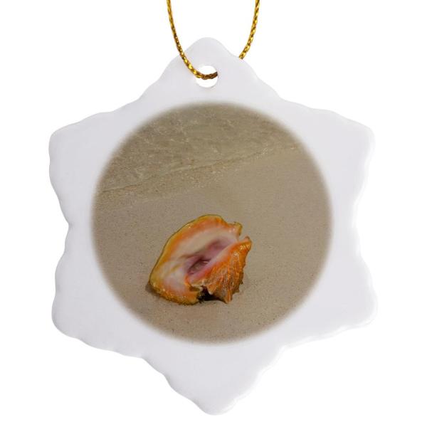 ・Premium Porcelain Construction - Crafted from high-quality ceramic material with a smooth, glazed finish that won't chi...