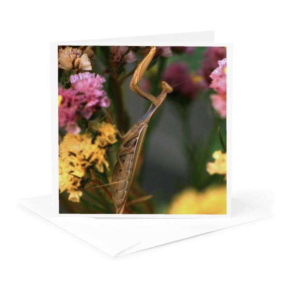 ・Memorable Keepsake: Give a beautifully crafted gift card that lasts beyond the occasion.・High-Quality: Printed on premi...