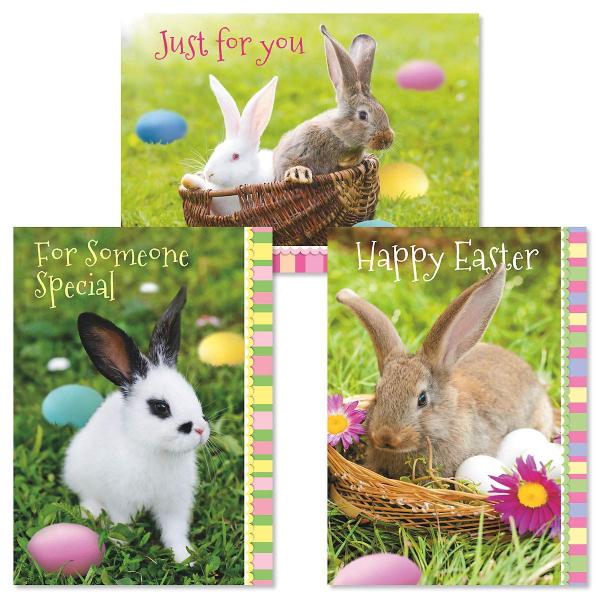 ・SPREAD LOVE ＆ JOY THIS EASTER: Brighten someone's day with Current's vibrant Photo Bunny Easter Greeting Greeting Cards...