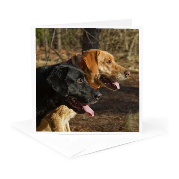 ・Memorable Keepsake: Give a beautifully crafted gift card that lasts beyond the occasion.・High-Quality: Printed on premi...