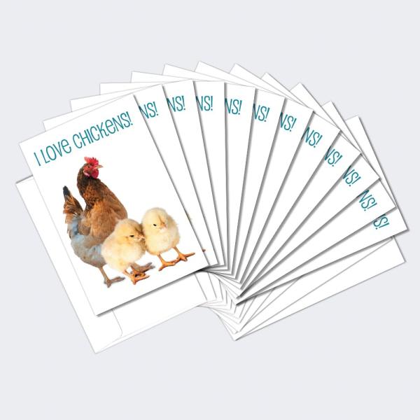 ・ボックス入りの文房具ノートカード（4x6インチ）12枚。お揃いの色の封筒付き。・100%再生紙の内側と外側に鮮やかなプリント。風力発電で塩素フリー加工。・グリーンE認証。 ツリーフリーの挨拶、アメリカ製。・このユニークで美しい空白の箱入り...