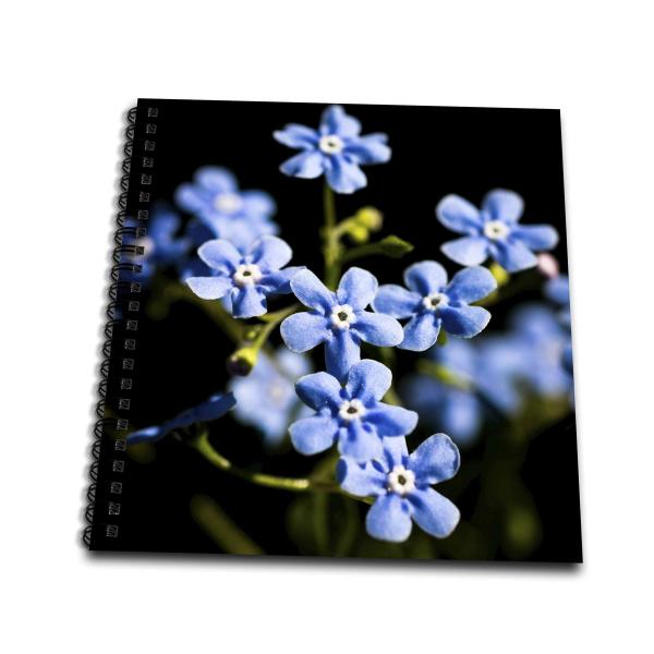 ・8 x 8 inches spiral bound glossy hard covered・9/16 inch twin loop wire binding spine・50 unlined pages, 8 x 7. 75 inches...