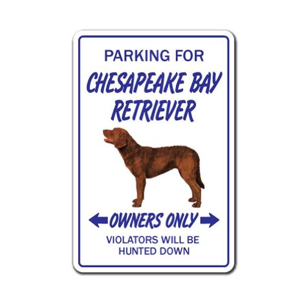 ・Size - 8" X 12" Good for decorating a work space or hanging in a den, this sticker also makes a great gift・Perfect Gift...