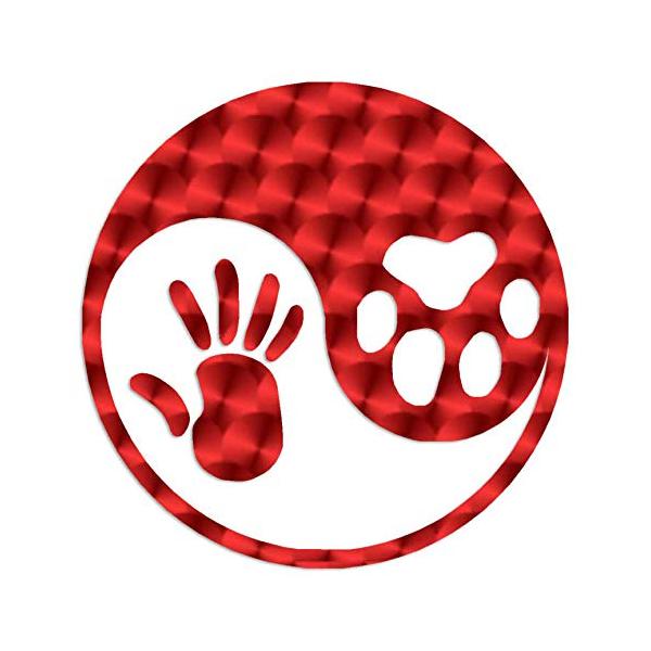 ・Dimensions listed reflect the full decal layout, not individual components・Premium quality vinyl decals precision-cut w...