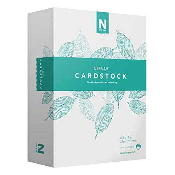 ・LIGHTWEIGHT WHITE CARDSTOCK: Vellum Bristol cardstock offers a slightly textured, toothy surface making it ideal for li...