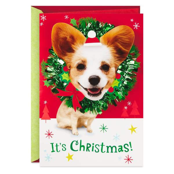 ・Send good tidings to friends or family this holiday season with a silly Christmas card that's sure to make them smile.・...