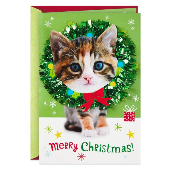 ・Send good tidings to friends or family this holiday season with a silly Christmas card that's sure to make them smile.・...