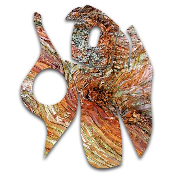 ・SET THE TREND: Show off your own unique style with MightySkins for your Logitech M570 Wireless Trackball Mouse! Don't l...