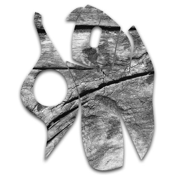 ・SET THE TREND: Show off your own unique style with MightySkins for your Logitech M570 Wireless Trackball Mouse! Don't l...