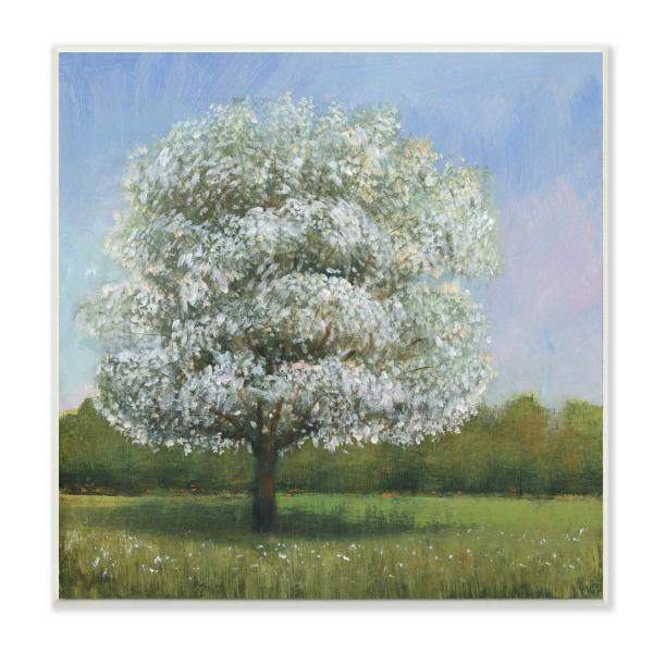 アメリカのウォールアートブランド Stupell Industries のMDF製ウォールプラーク（約30×30cm）。Tim OToole による春の花木と白い花の草原風景を高品質リトグラフで再現。側面フォイル仕上げで清潔感ある仕上がり。...