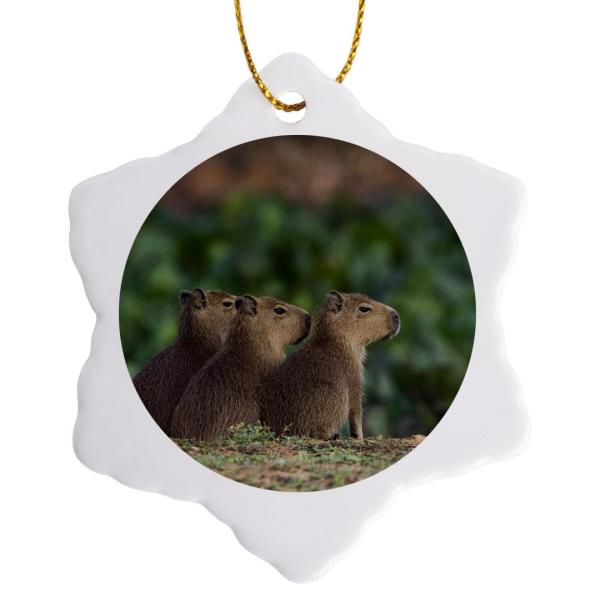 ・高光沢仕上げ。・全体のサイズは3インチ。・画像は両サイドにプリントされています・簡単に掛けられる金のひも付き。・特別な機会を記念する素晴らしい記念品になるでしょう。