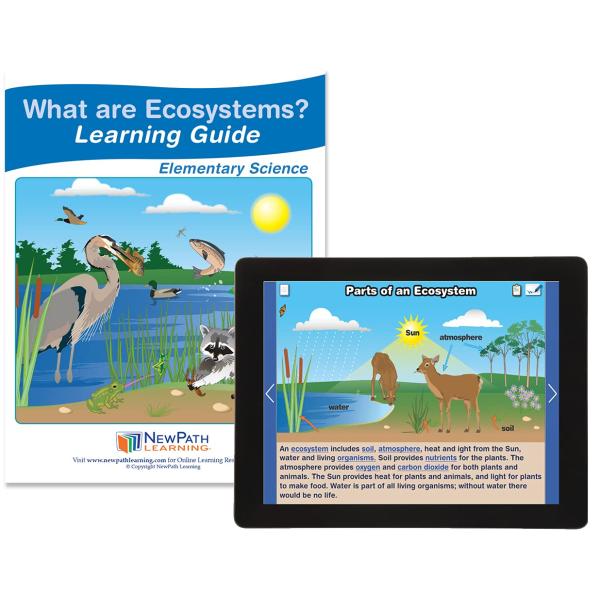 ・Student Learning Guide features 36 full-color pages with in-depth topic information, exercises ＆ assessments along with...