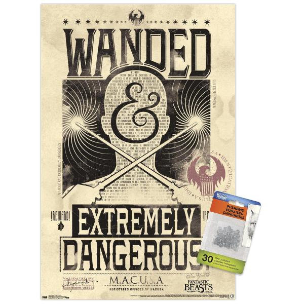 ・TRENDS WALL POSTERS use high-resolution artwork and are printed on PhotoArt Gloss Poster Paper which enhances colors wi...