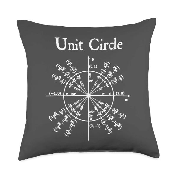 ・The Perfect and Unique Gift for Men, Women, mathematics teachers, physics teacher, physicist, scientists, engineer, ner...