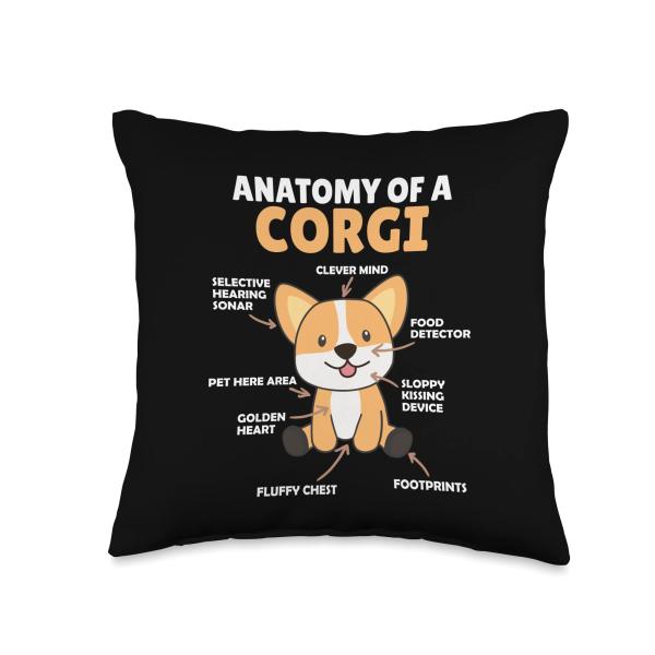 ・The anatomy of a Corgi. The Corgi is a sweet dog for everyone who loves the dog breed. Dog anatomy explains whity whate...