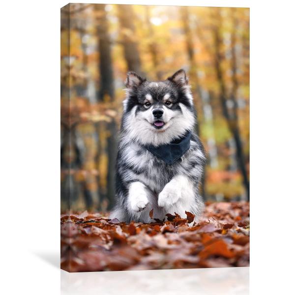 ・Design Your Own Canvas Prints:We Combine Your Best Memories Captured In Photographs With Our State Of The Art Technolog...