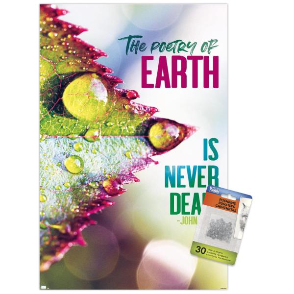 ・THIS TRENDS TARA ROBINSON - KEATS WALL POSTER uses high-resolution artwork and is printed on PhotoArt Gloss Poster Pape...