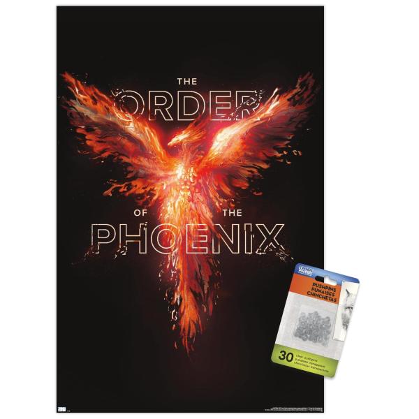 ・THIS TRENDS HARRY POTTER - ORDER OF THE PHOENIX MAGIC WALL POSTER uses high-resolution artwork and is printed on PhotoA...