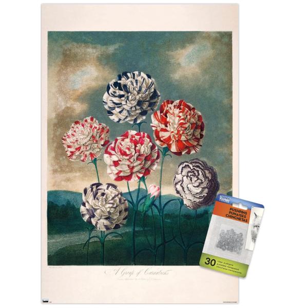 ・THIS TRENDS A GROUP OF CARNATIONS WALL POSTER uses high-resolution artwork and is printed on PhotoArt Gloss Poster Pape...