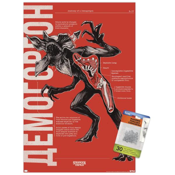 ・THIS TRENDS NETFLIX STRANGER THINGS: SEASON 4 - DEMOGORGON ANATOMY WALL POSTER uses high-resolution artwork and is prin...