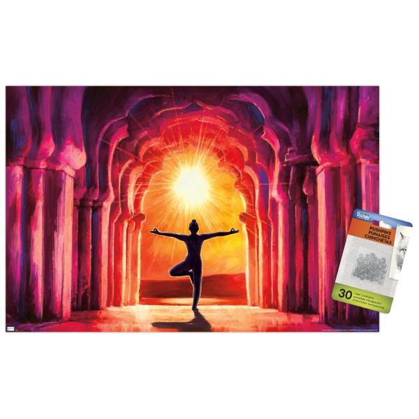 ・TRENDS WALL POSTERS use high-resolution artwork and are printed on PhotoArt Gloss Poster Paper which enhances colors wi...