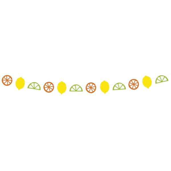 ・VIBRANT CITRUS FRUIT DESIGN: Our Multicolor Paper Fan Garland features an eye-catching and fun citrus fruit design, per...