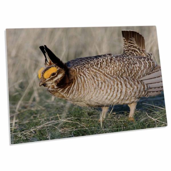 ・Large desk pad, 23" x 16" with .08" height which will accommodate many sized devices. Versatile for home, office, schoo...