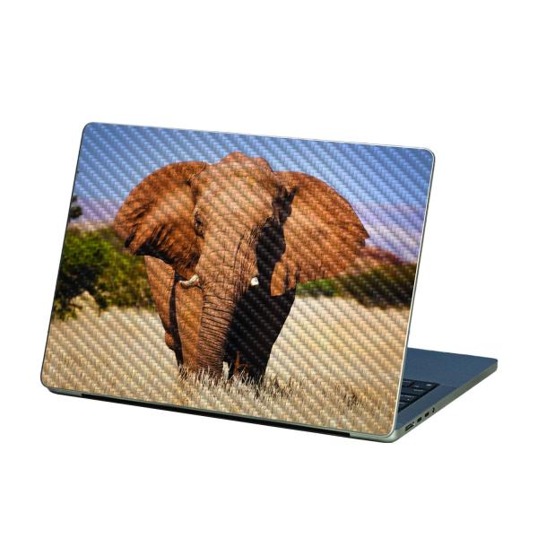 ・CARBON FIBER FINISH - with the same vibrant color and durability as our matte finish, This stylish carbon fiber texture...