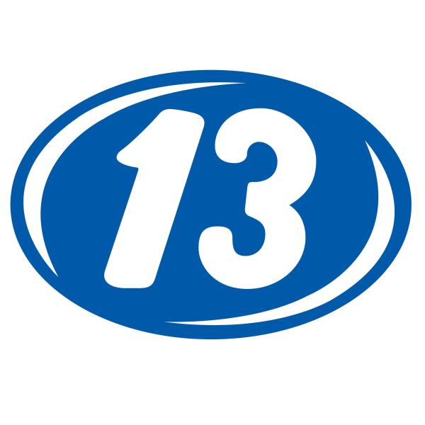 ・Let them know the vehicle's year model with our BOLD YEAR MODEL SIGNS! MADE IN THE USA・Two Digit Year Oval, adhesive wi...