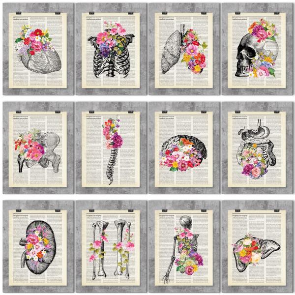 ・Sufficient Quantity and Styles: you will receive 12 pieces of the anatomy posters in 12 different styles, which means e...