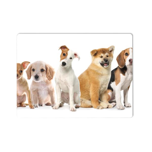 ・This Full Wrap Kit Includes Maximum Coverage for The Top, Bottom ＆ Keyboard Section of The Microsoft Surface Laptop 5 1...