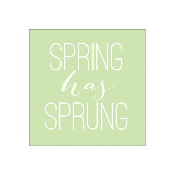・Title - Spring Has Sprung・Product Type - Fine Art Print・Paper Size - 12 x 12・Licensor: Penny Lane・Dogwood Portfolio
