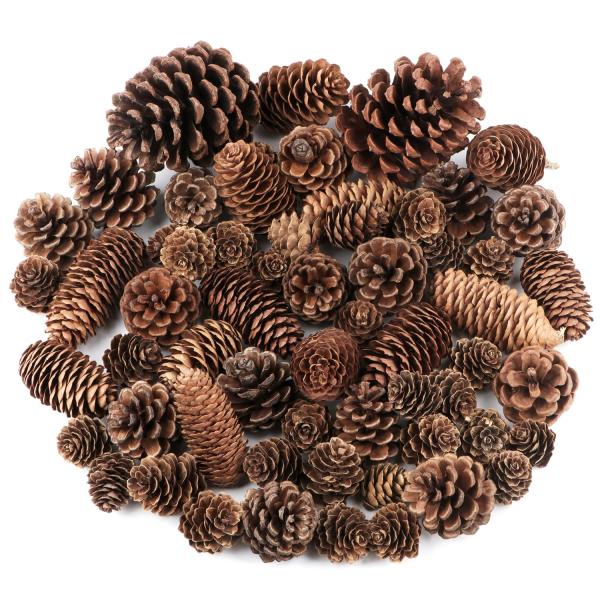 ・Simple and Rustic Universal Ornaments: Pine cones have warm and natural charm, decorating with them is an easy way to b...