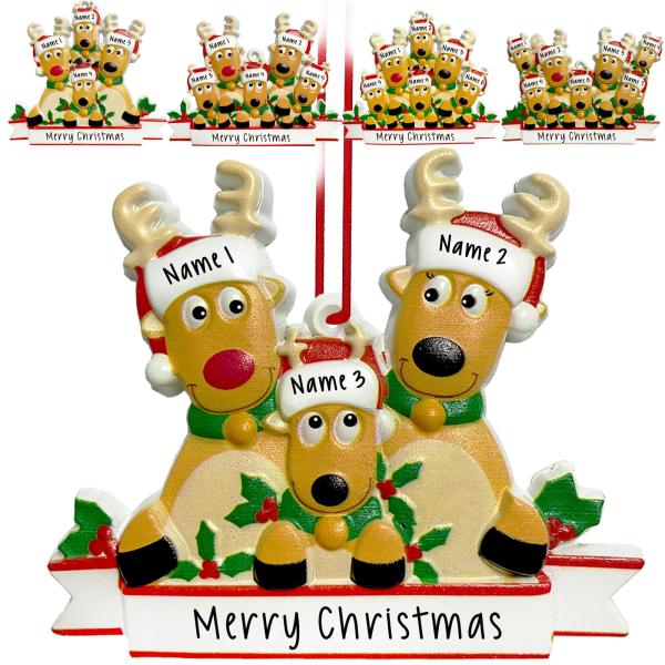 ・2025 Christmas Ornament Personalized For Tree- Let's get dress up your Christmas tree with our personalized name orname...