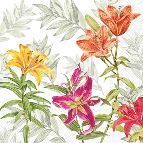 ・3-PLY PAPER NAPKINS Package of 20 premium quality paper napkins・FOR COCKTAIL PARTIES AND BEVERAGES Napkins measure 5 x ...