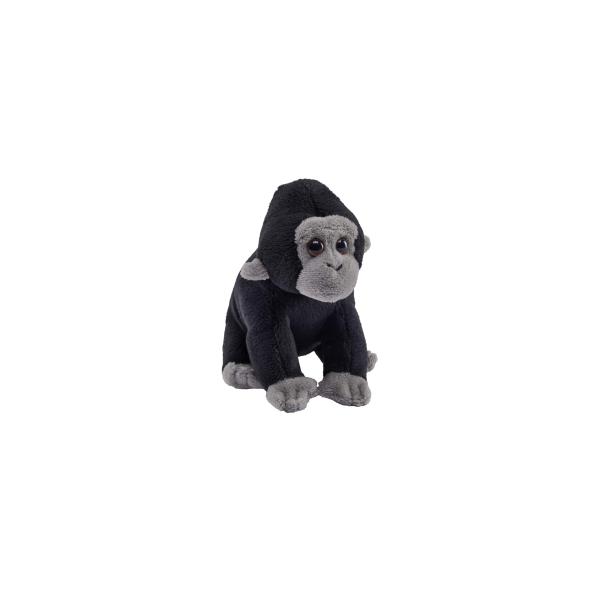 ・類人猿の中で最大のゴリラが中央アフリカの熱帯雨林を歩き回っています。 Knknown for their profound intelligence, strong family bonds, and sheer physical str...